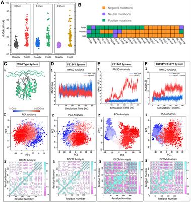 Frontiers | Assessing a computational pipeline to identify binding motifs to the α2β1 integrin